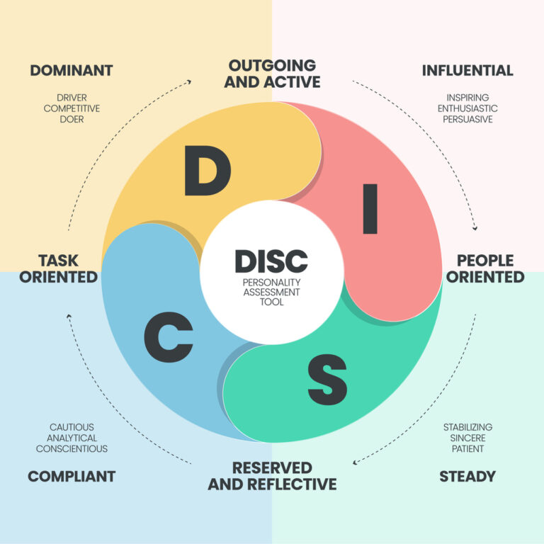 Disc Styles and The Personality Wheel Explained
